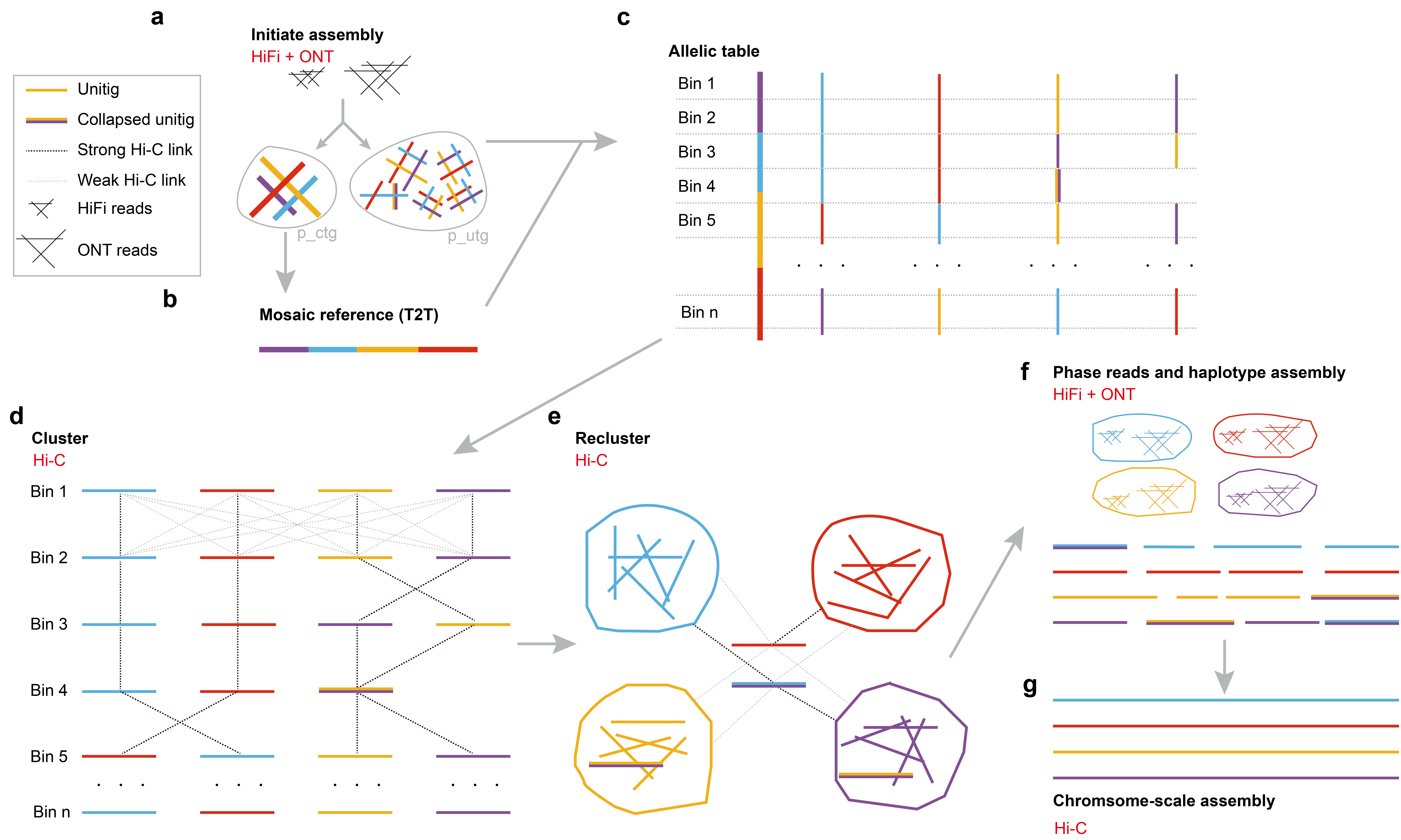 GitHub - JiaoLab2021/PHap: A haplotype-resolved and telomere-to-telomere genome assembly ...